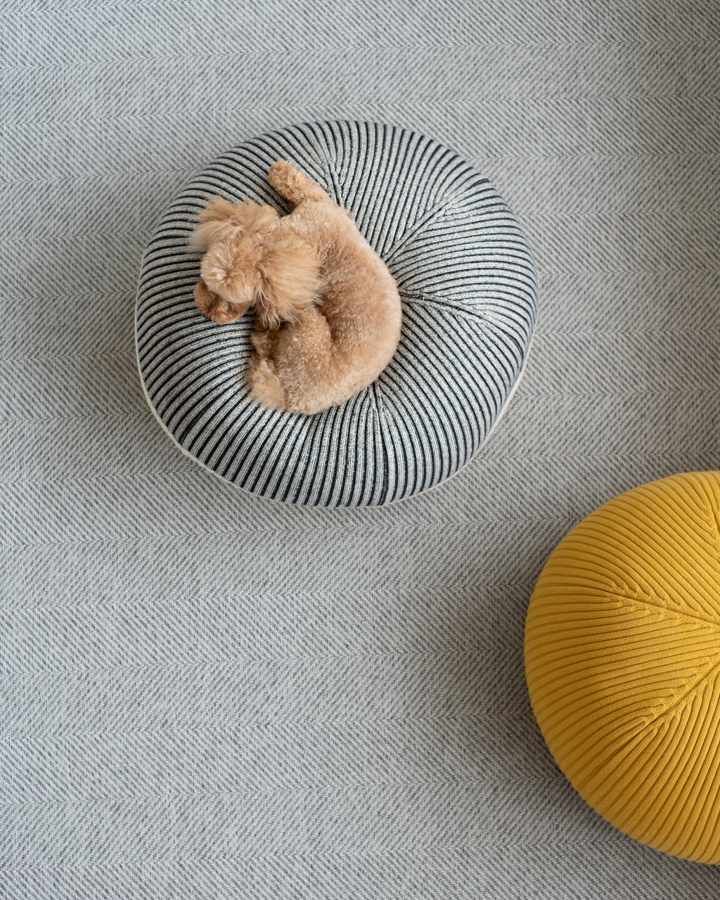 こなれる？馴染む？それとも、へたる？ — IDEE PUUF（プーフ）ビーズクッションの楽しみ方とその魅力